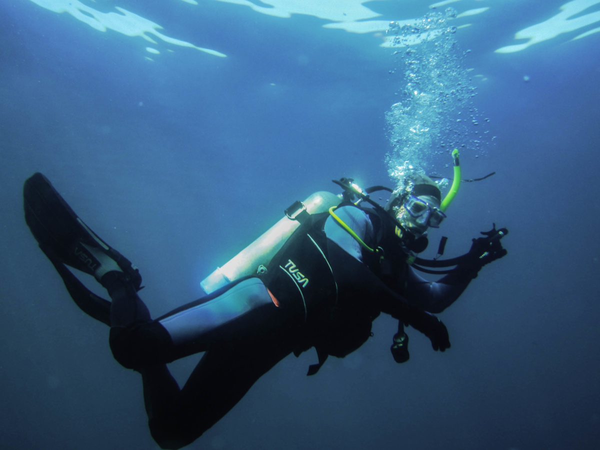 Guided Dives - Snorkel San Diego